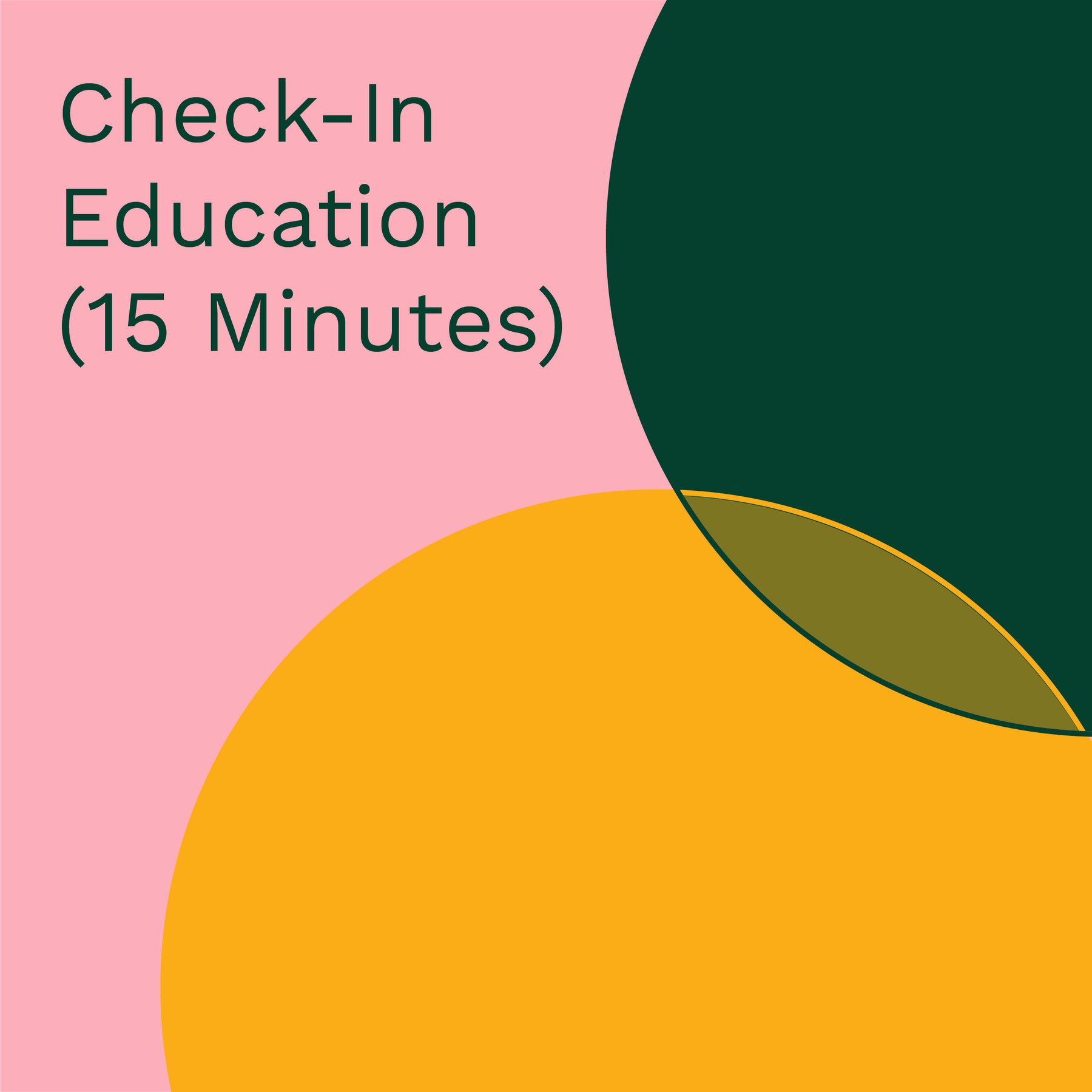 15 min. Check-In Education – The Happy Partners Project